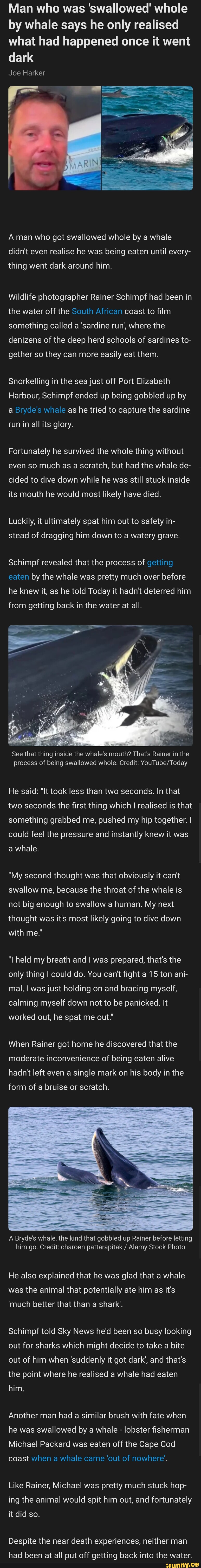 Man who was 'swallowed' whole by whale says he only realised what had ...