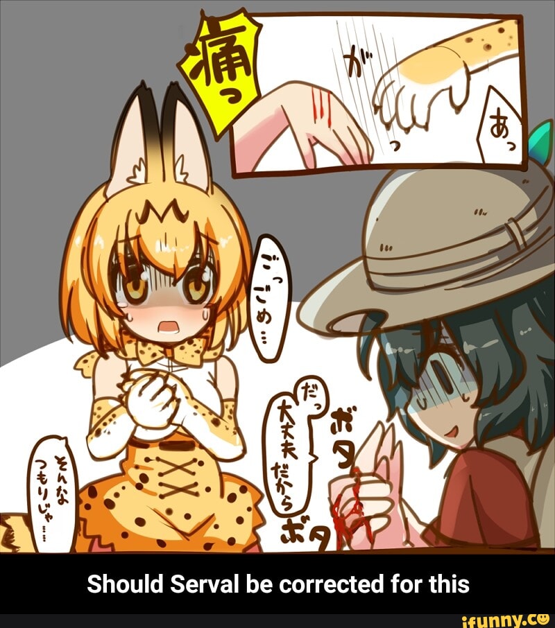 Serval memes. Best Collection of funny Serval pictures on iFunny