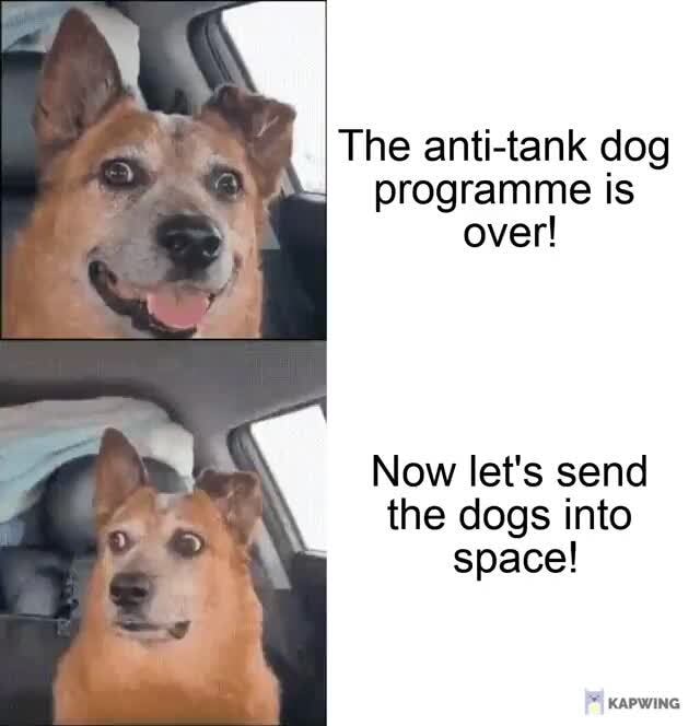 The anti-tank dog programme is over! Now let's send the dogs into space ...