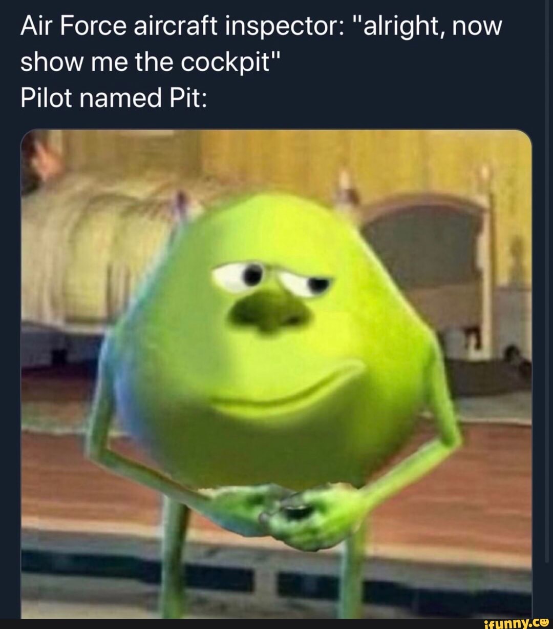 Air Force aircraft inspector: "alright, now show me the cockpit" Pilot ...