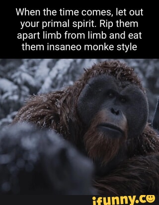 Primal memes. Best Collection of funny Primal pictures on iFunny