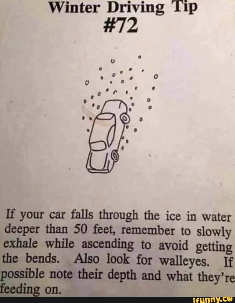 Walleyes memes. Best Collection of funny Walleyes pictures on iFunny