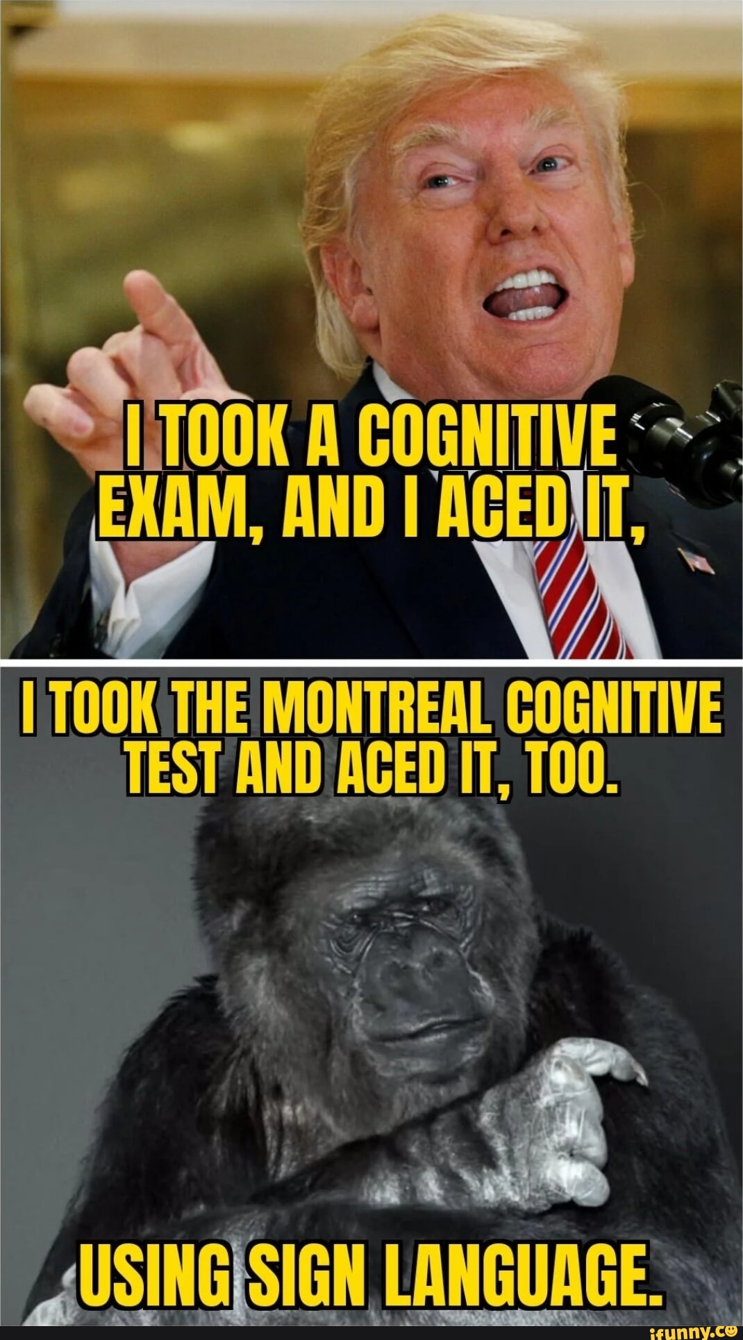 TODK A COGNITIVE: EXAM, TOOK THE MONTREAL COGNITIVE TEST AND ACED IT ...