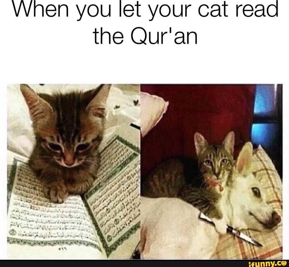 Quran memes. Best Collection of funny Quran pictures on iFunny