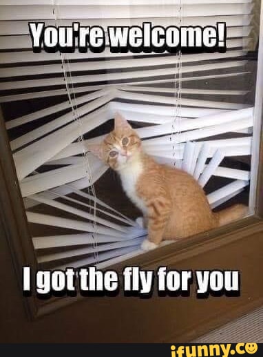 Renfield memes. Best Collection of funny Renfield pictures on iFunny