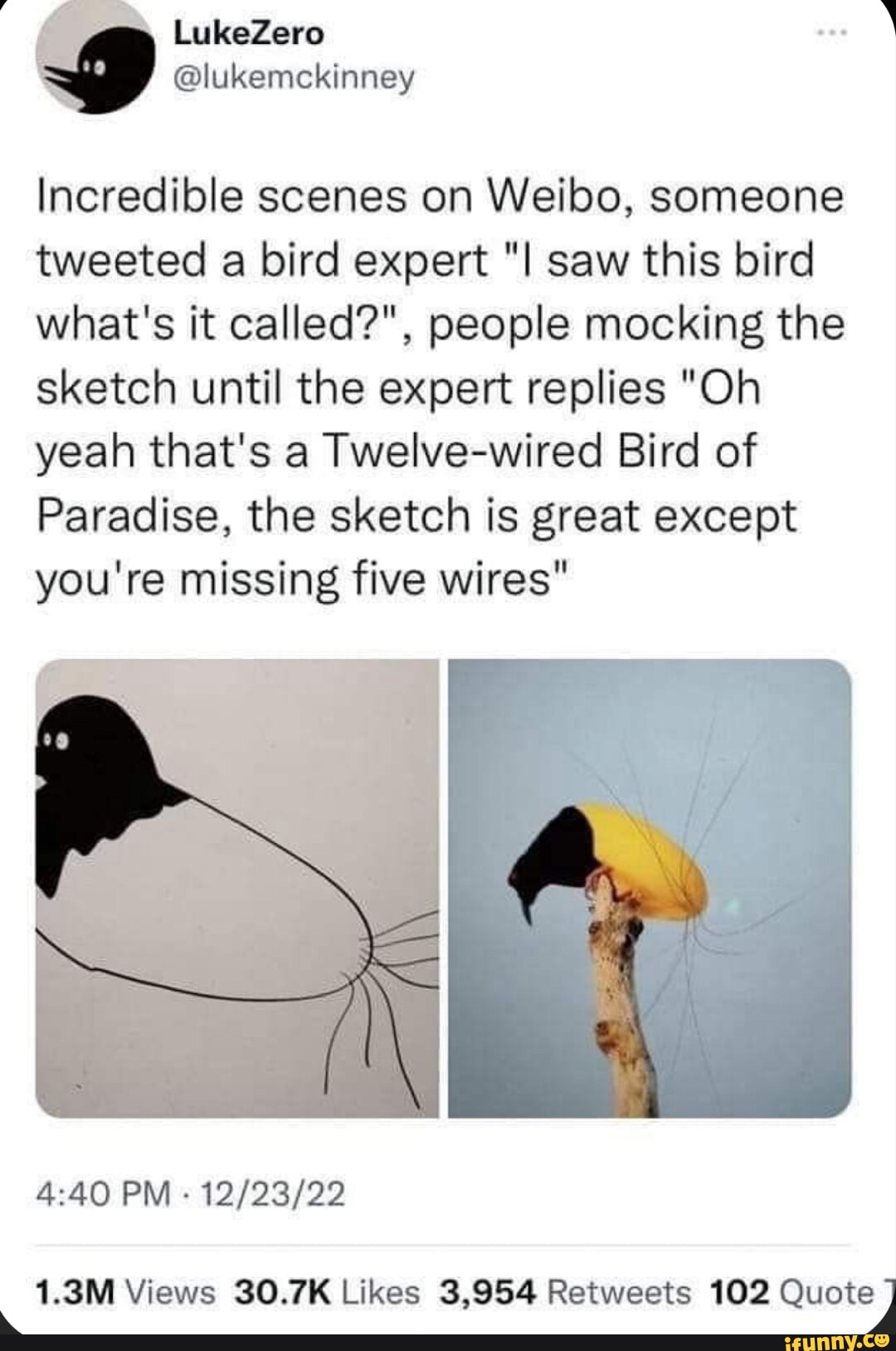 Weibo memes. Best Collection of funny Weibo pictures on iFunny