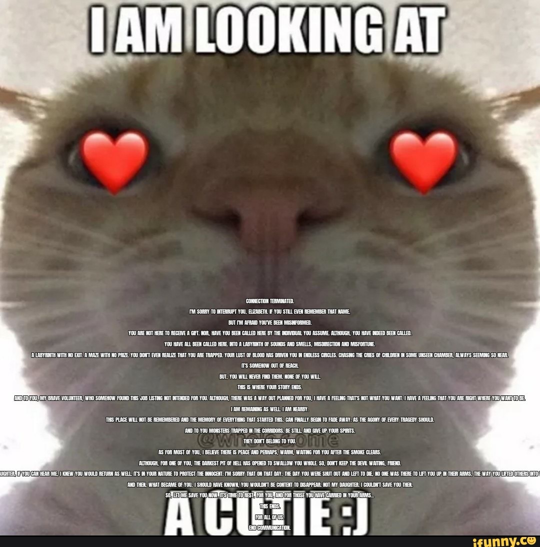 Recve memes. Best Collection of funny Recve pictures on iFunny