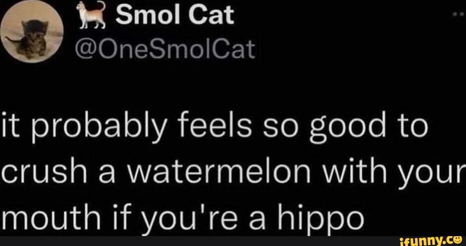 Smol memes. Best Collection of funny Smol pictures on iFunny