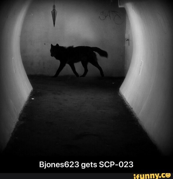 Bjone5623 gets SCP-023 - Bjones623 gets SCP-023 - iFunny