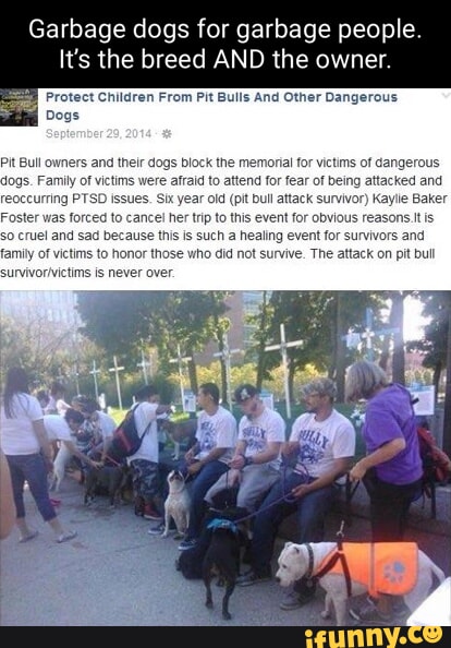 Garbage dogs for garbage people. li's the breed AND the owner. From ims ...