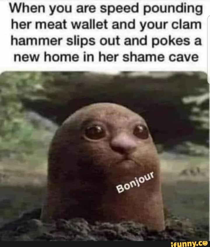 When you are speed pounding her meat wallet and your clam hammer slips ...