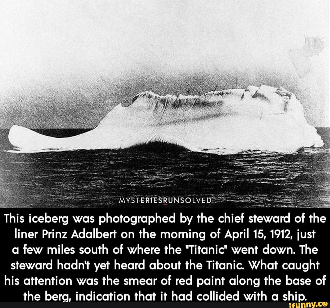 Steward memes. Best Collection of funny Steward pictures on iFunny