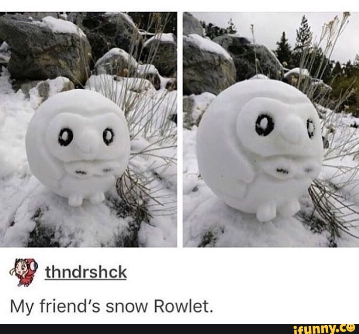 Rowlet memes. Best Collection of funny Rowlet pictures on iFunny