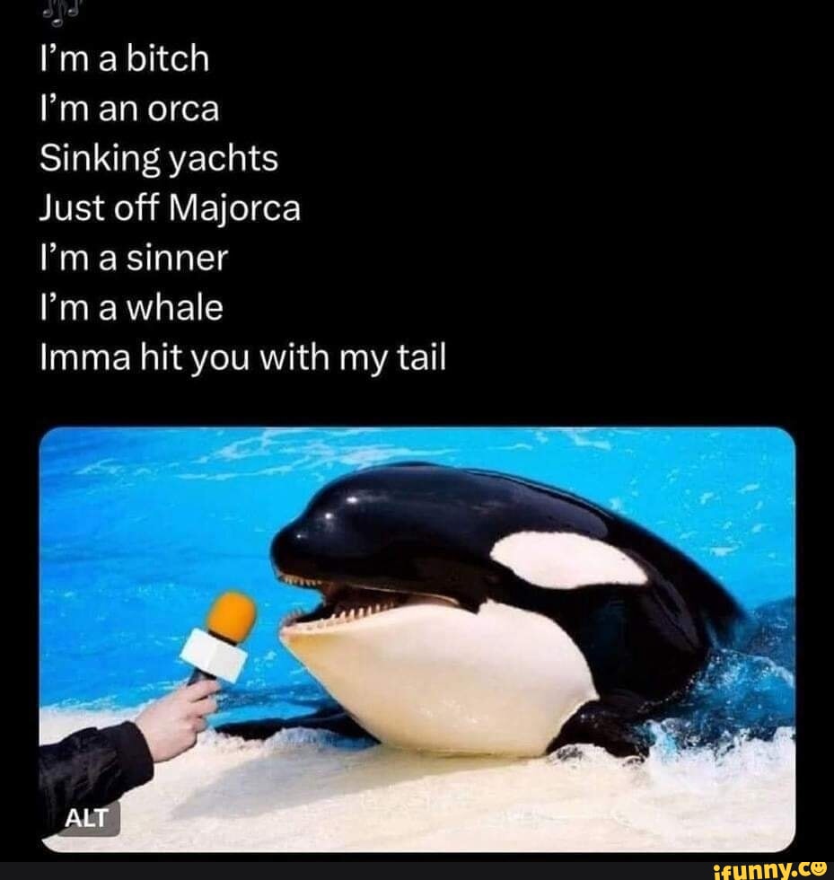 Yachts memes. Best Collection of funny Yachts pictures on iFunny