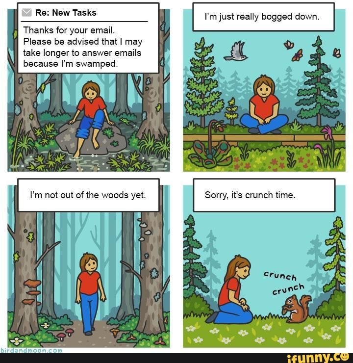 Swamped memes. Best Collection of funny Swamped pictures on iFunny