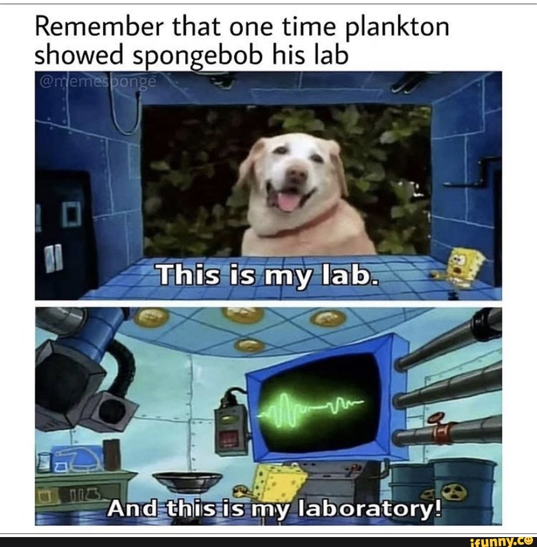 Remember that one time plankton showed spongebob his lab This is my lab ...