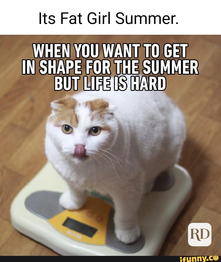 Summerbody memes. Best Collection of funny Summerbody pictures on iFunny
