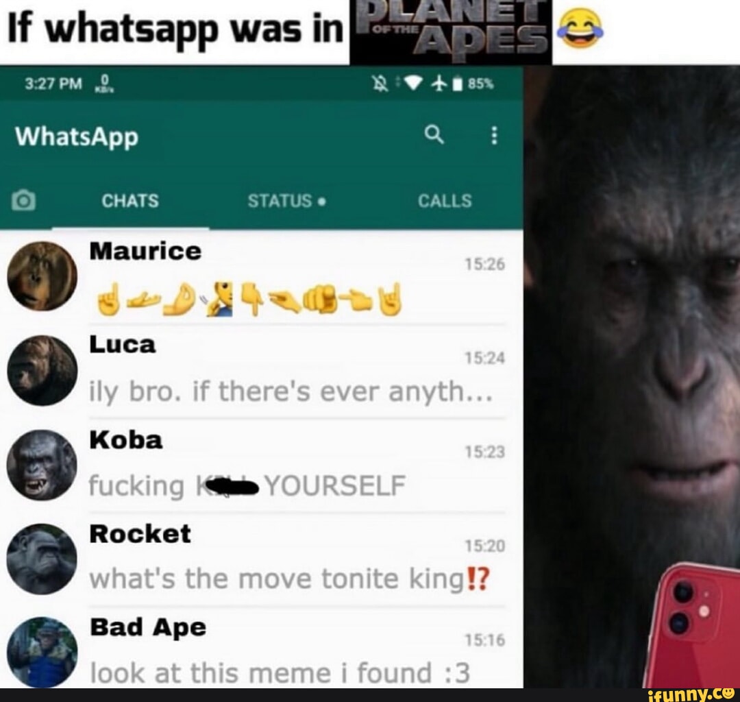 Maurice memes. Best Collection of funny Maurice pictures on iFunny