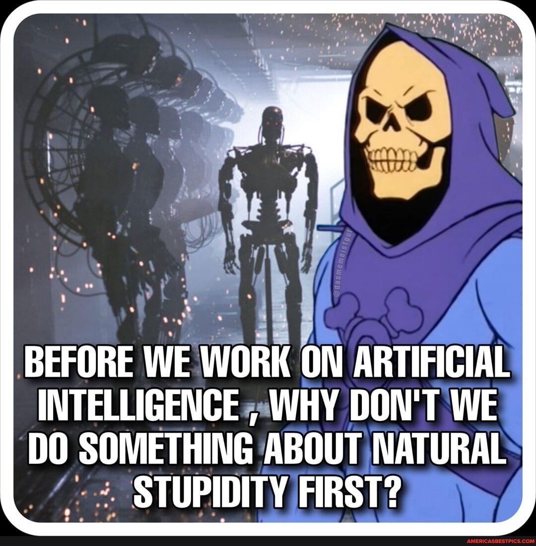 BEFORE WE WORK ON ARTIFICIAL INTELLIGENCE WHY DON'T WE DO SOMETHING 'ABOUT NATURAL STUPIDITY ...