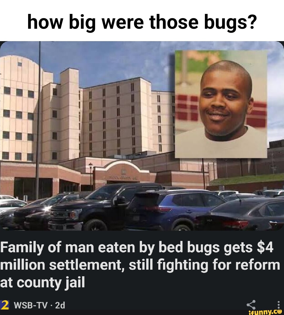 How big were those bugs? Family of man eaten by bed bugs gets $4 ...