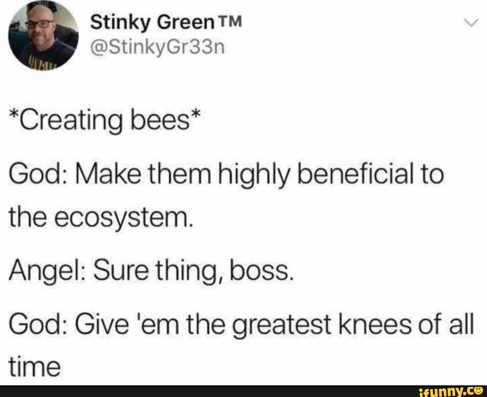 Ecosystem memes. Best Collection of funny Ecosystem pictures on iFunny