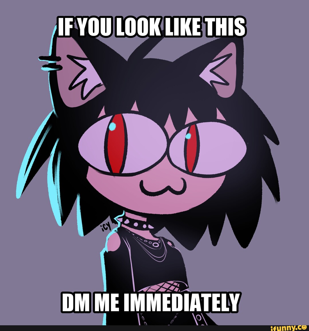 IF YOU LOOK LIKE THIS DM ME IMMEDIATELY - iFunny