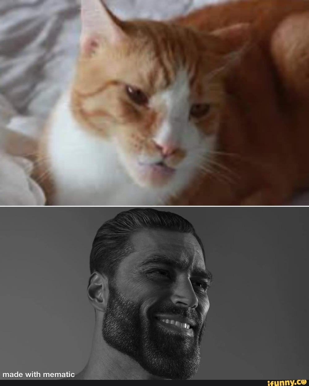 Gigacat memes. Best Collection of funny Gigacat pictures on iFunny