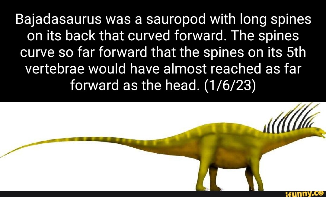 Bajadasaurus was a sauropod with long spines on its back that curved ...