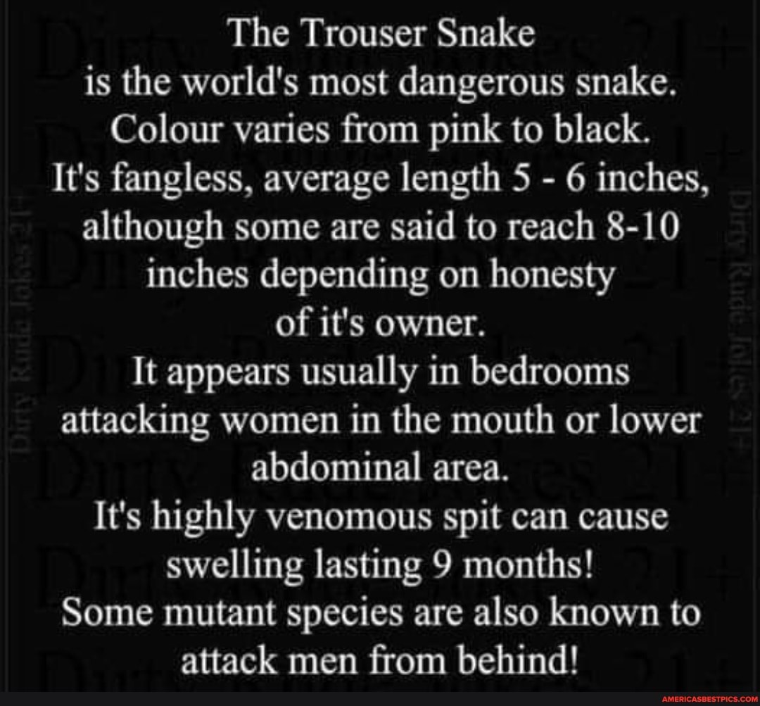 The Trouser Snake is the world's most dangerous snake. Colour varies ...