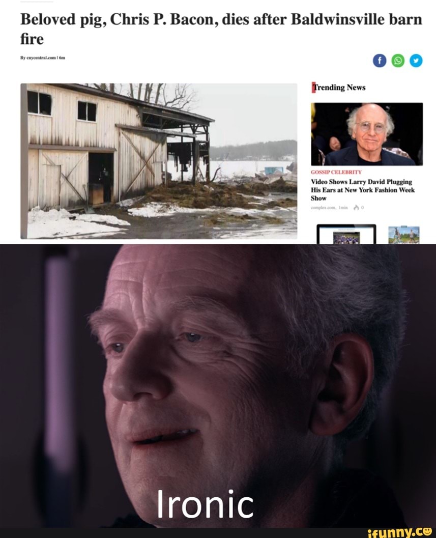 Beloved pig, Chris P. Bacon, dies after Baldwinsville barn fire Ironic ...