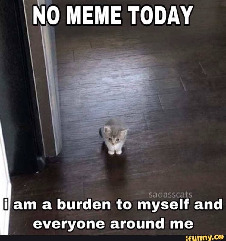 NO MEME TODAY sadasscats am a burden to myself and everyone around me ...
