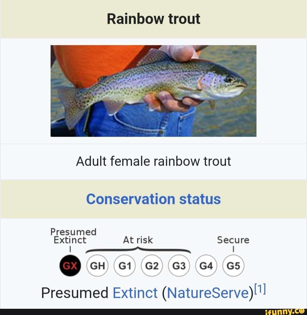 Picture memes 88PwbWk1A by BobbyWitt: 3 comments - )