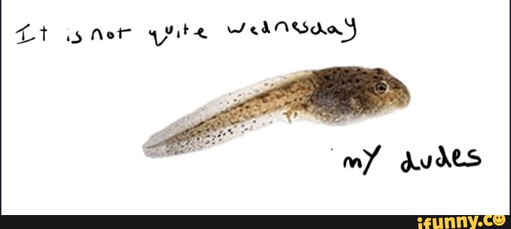 Tadpole memes. Best Collection of funny Tadpole pictures on iFunny