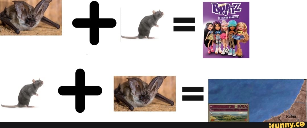 Gnat memes. Best Collection of funny Gnat pictures on iFunny