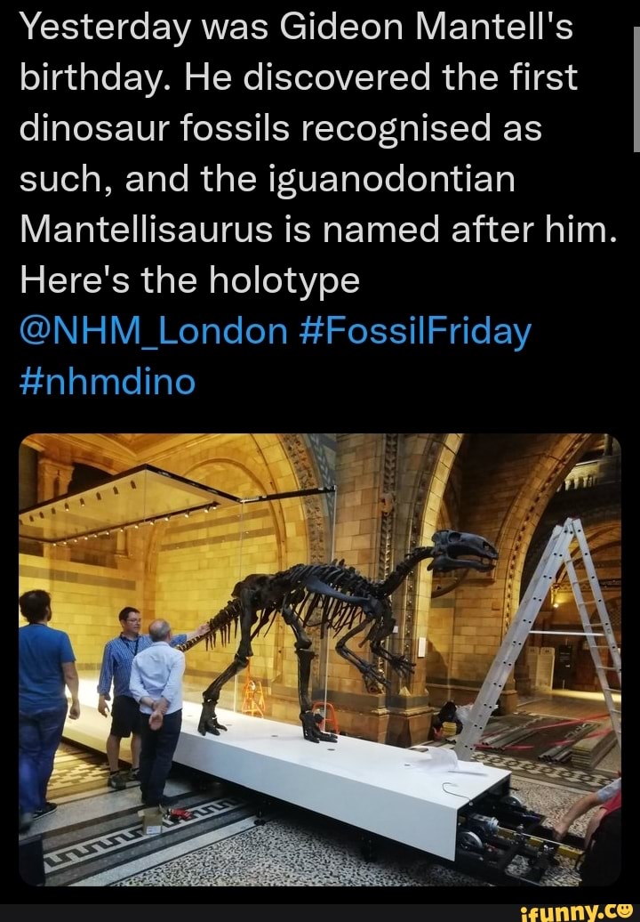 Yesterday was Gideon Mantell's birthday. He discovered the first ...