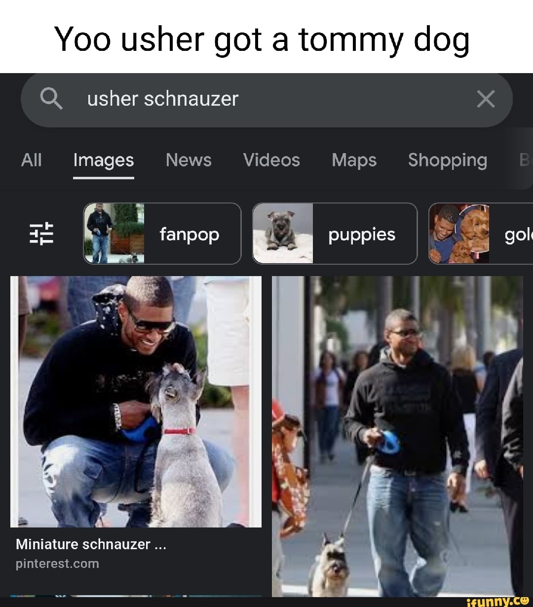 Yoo usher got a tommy dog Q. usher schnauzer All Images News Videos ...