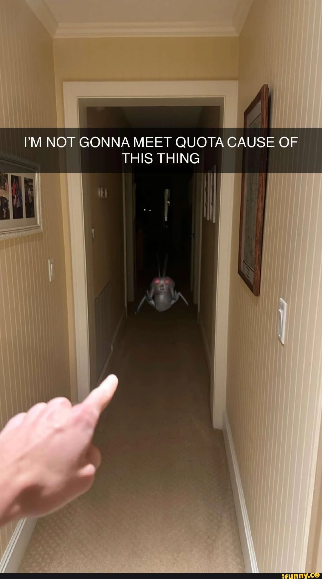 I'M NOT GONNA MEET QUOTA CAUSE OF THIS THING - iFunny