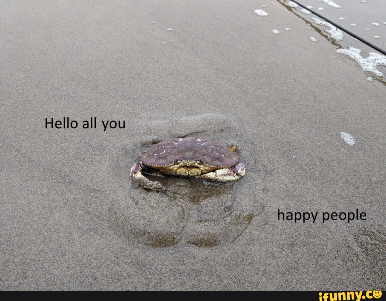 Hello happy people - iFunny