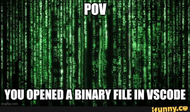 YOU OPENED A BINARY FILE IN VSCODE - iFunny