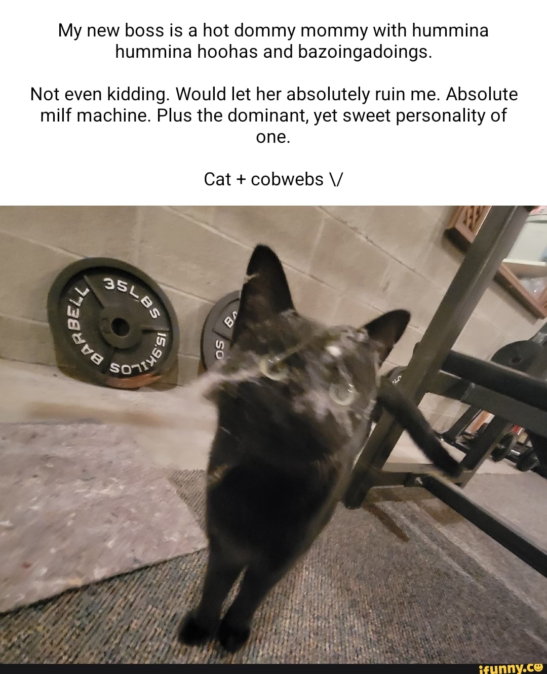 My new boss is a hot dommy mommy with hummina hummina hoohas and ...