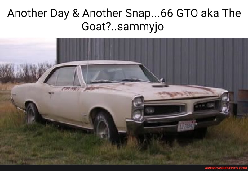 Another Day & Another Snap...66 GTO aka The - America’s best pics and videos