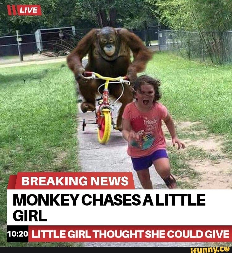LIVE BREAKING NEWS GIRL MONKEY CHASES ALITTLE LITTLE GIRL THOUGHT SHE ...
