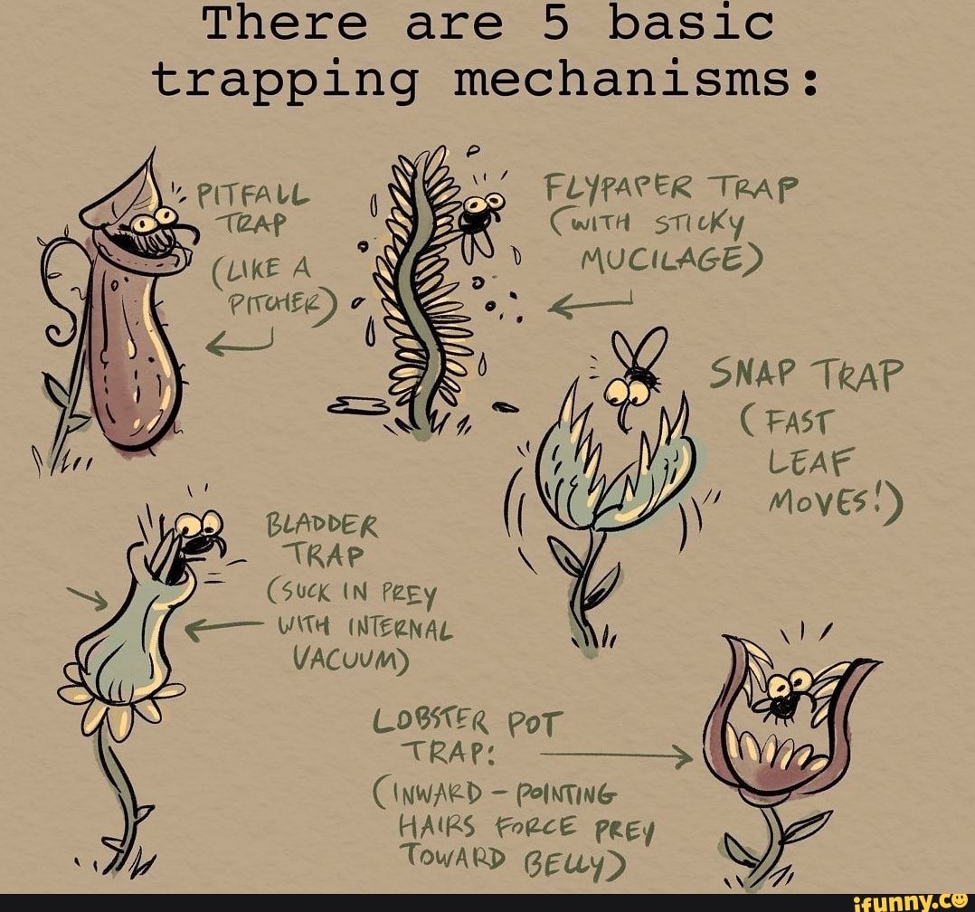 Flypaper memes. Best Collection of funny Flypaper pictures on iFunny