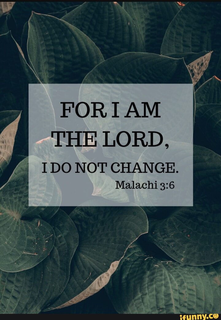 Memes de vídeo b3SfxIcl9 por LemielTZ: 1 comentário - iFunny