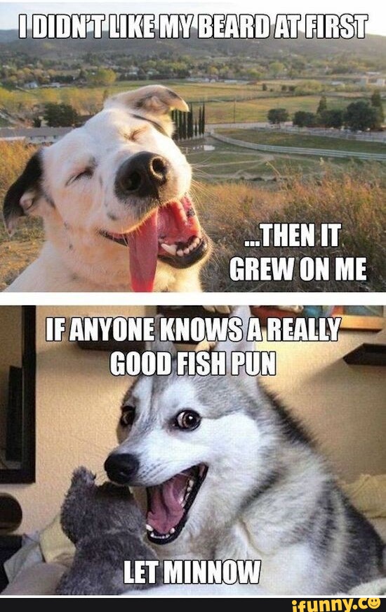 Minnow memes. Best Collection of funny Minnow pictures on iFunny
