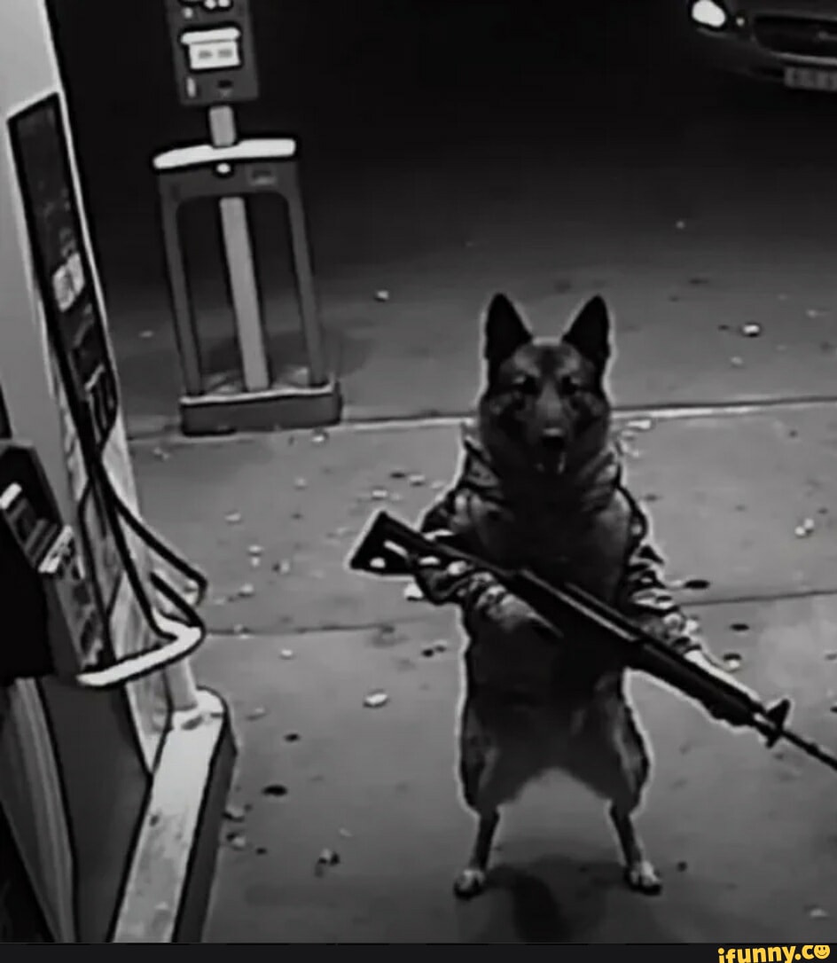 Cctv memes. Best Collection of funny Cctv pictures on iFunny