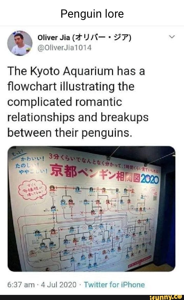 Penguin lore @OliverJsia1014 The Kyoto Aquarium has a flowchart ...