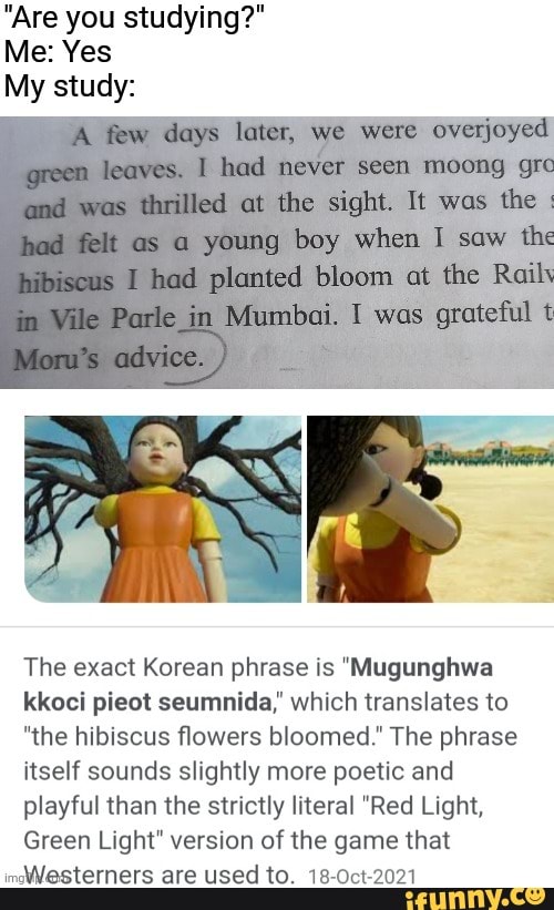 Hsc memes. Best Collection of funny Hsc pictures on iFunny