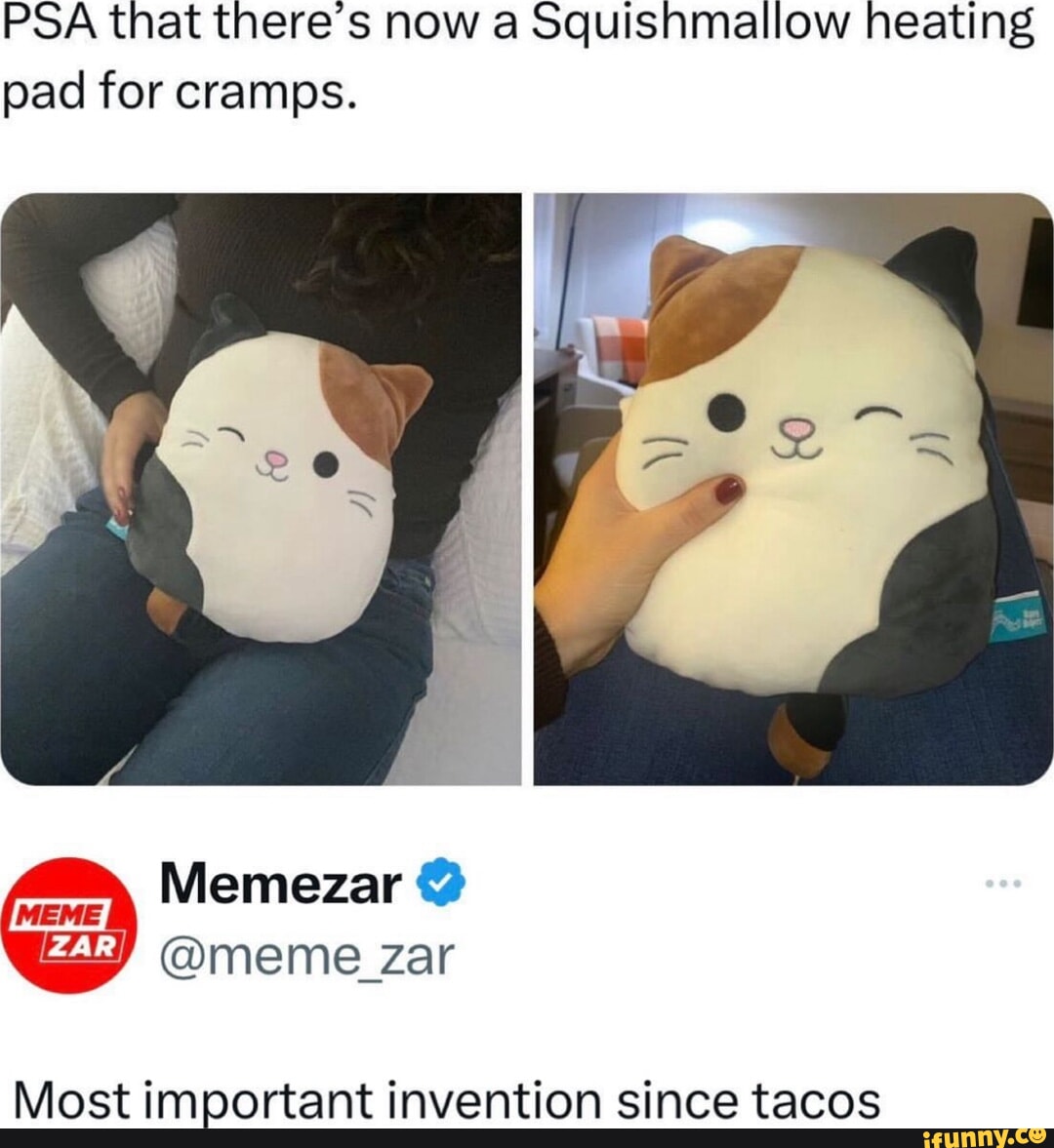Squishmallow memes. Best Collection of funny Squishmallow pictures on ...