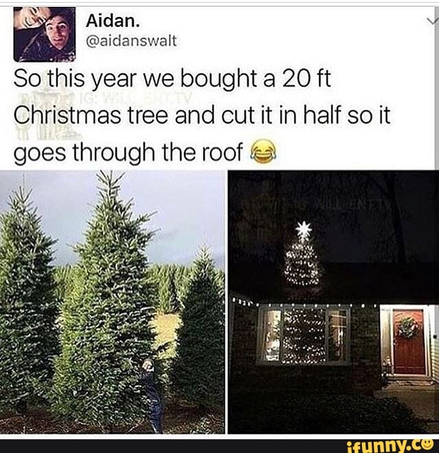 Giant "nightmare bee" that was once thought to be extinct has been ...